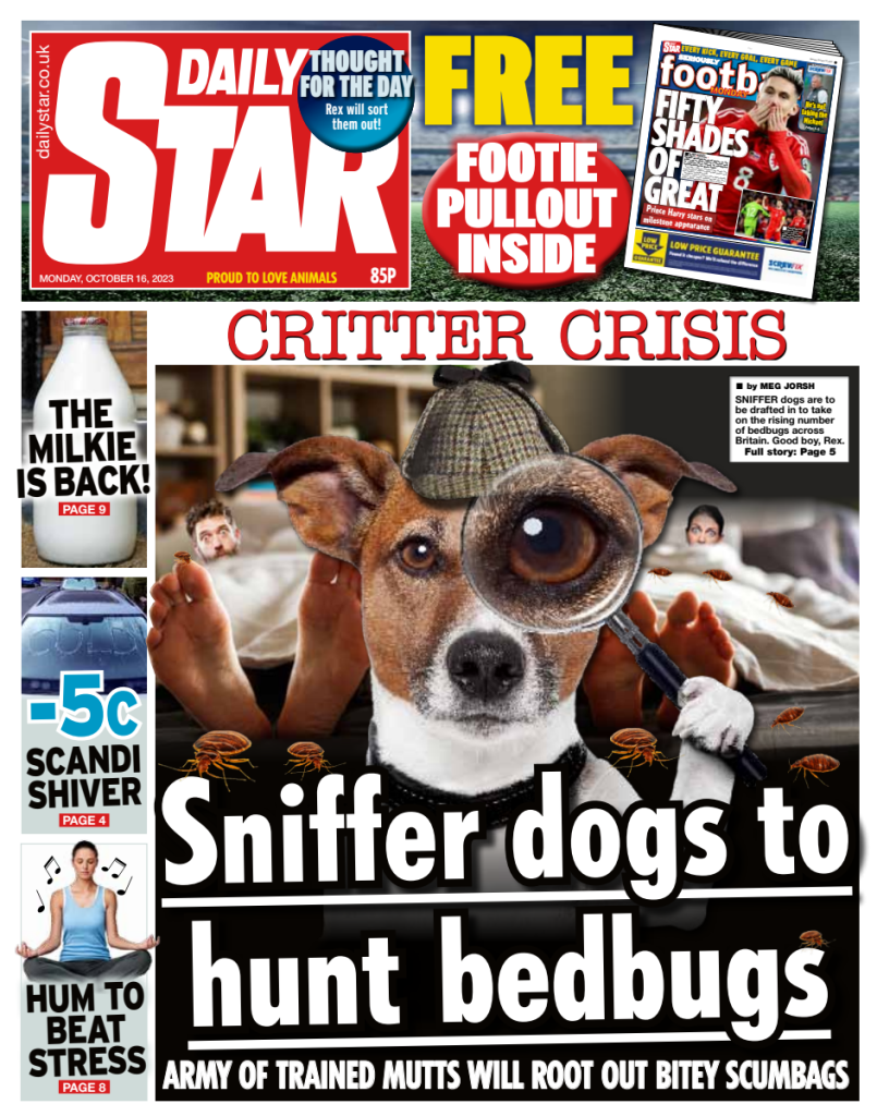 Daily Star Front Page 16th of October 2023 - Tomorrow's Papers Today!